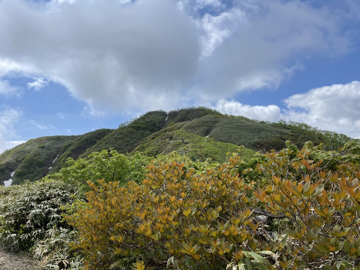 荒島岳 旧勝原スキー場駐車場からピストン... / pinokndesさんのモーメント | YAMAP / ヤマップ