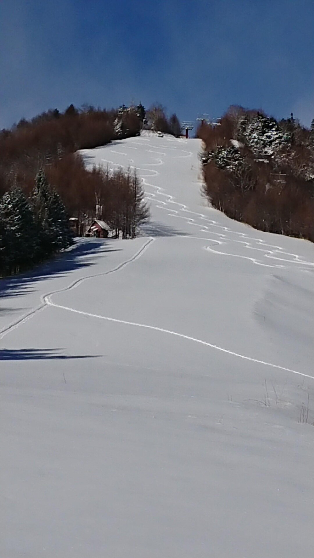 Mt.乗鞍 鳥居尾根BCスキー練習 第9回-2023-01-28 / mc40さんの乗鞍岳の活動データ | YAMAP / ヤマップ