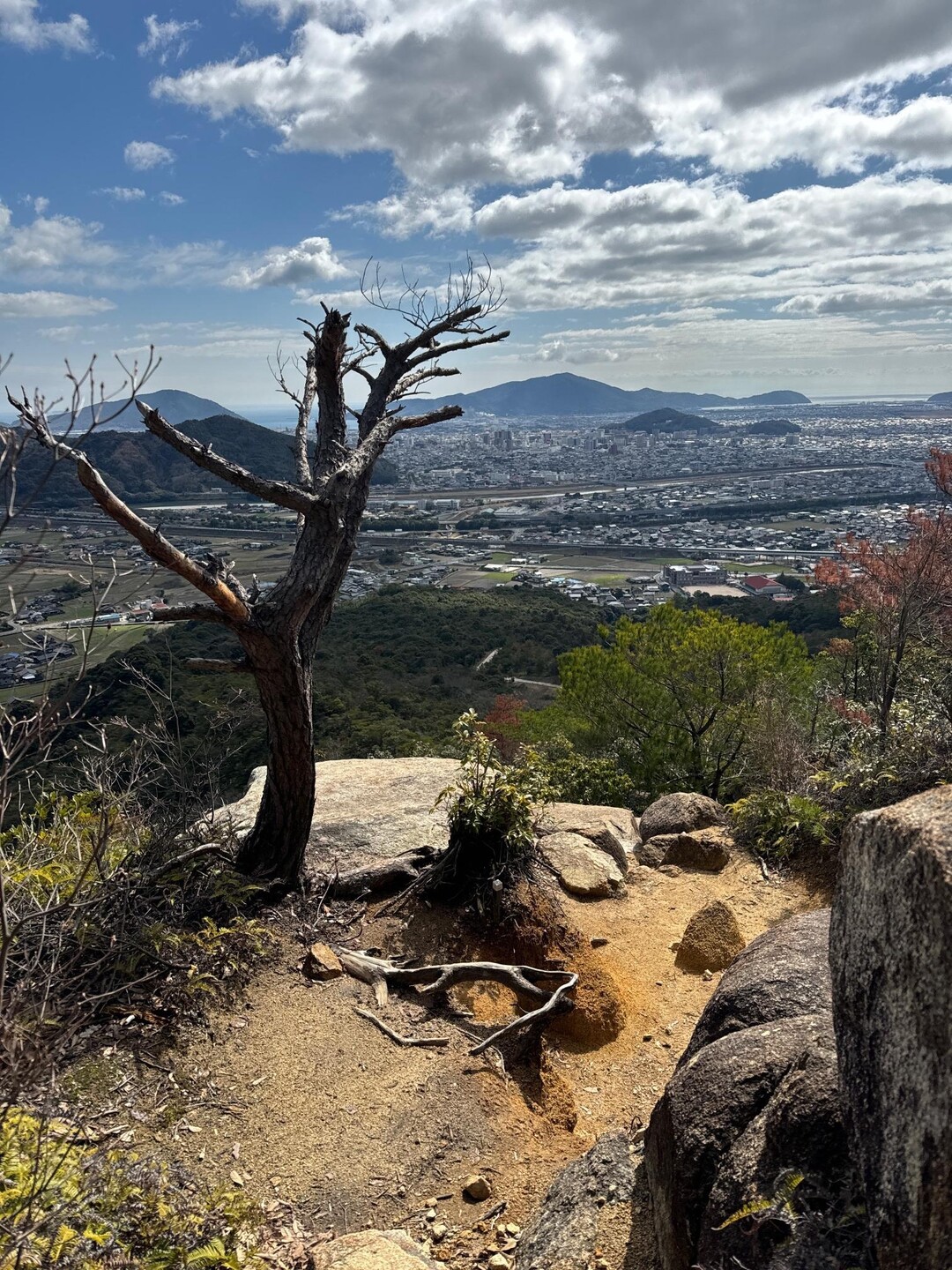 右田ヶ岳 / shunさんの右田ヶ岳・西目山・楞厳寺山の活動データ | YAMAP / ヤマップ