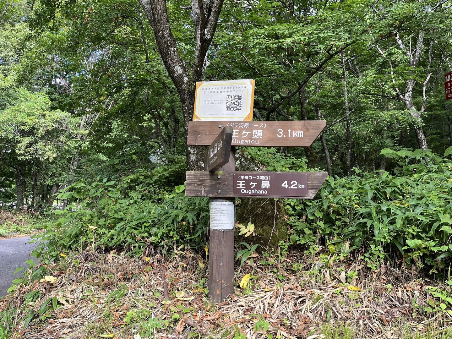 美ヶ原-2023-08-09 / aoさんの美ヶ原の活動データ | YAMAP / ヤマップ