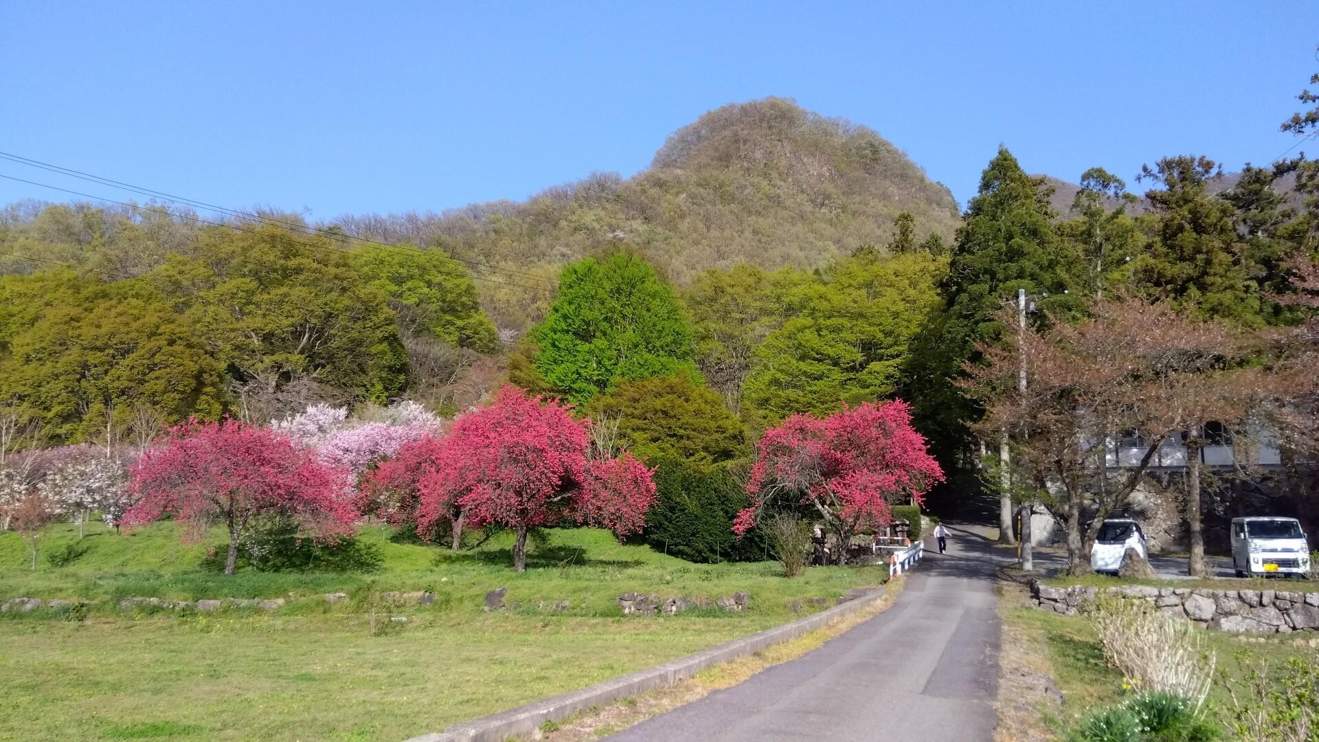 雁田山 / rokoさんの雁田山の活動データ | YAMAP / ヤマップ