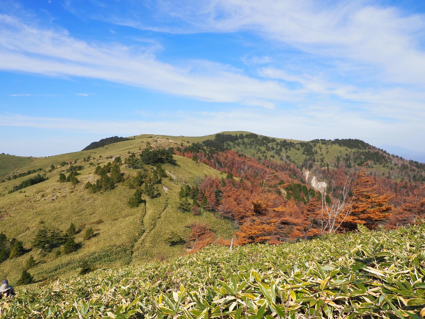 富士見台高原の紅葉🍁 / Rougeさんの恵那山・大判山・神坂山の活動日記 | YAMAP / ヤマップ