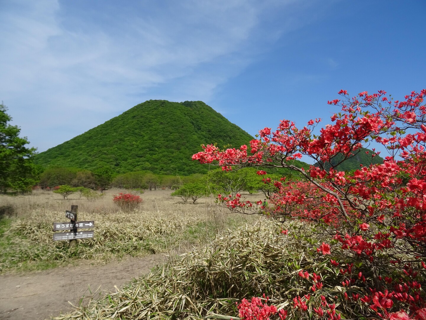 榛名山 2023-05-27 / nm25さんの榛名山・天狗山・天目山の活動データ | YAMAP / ヤマップ