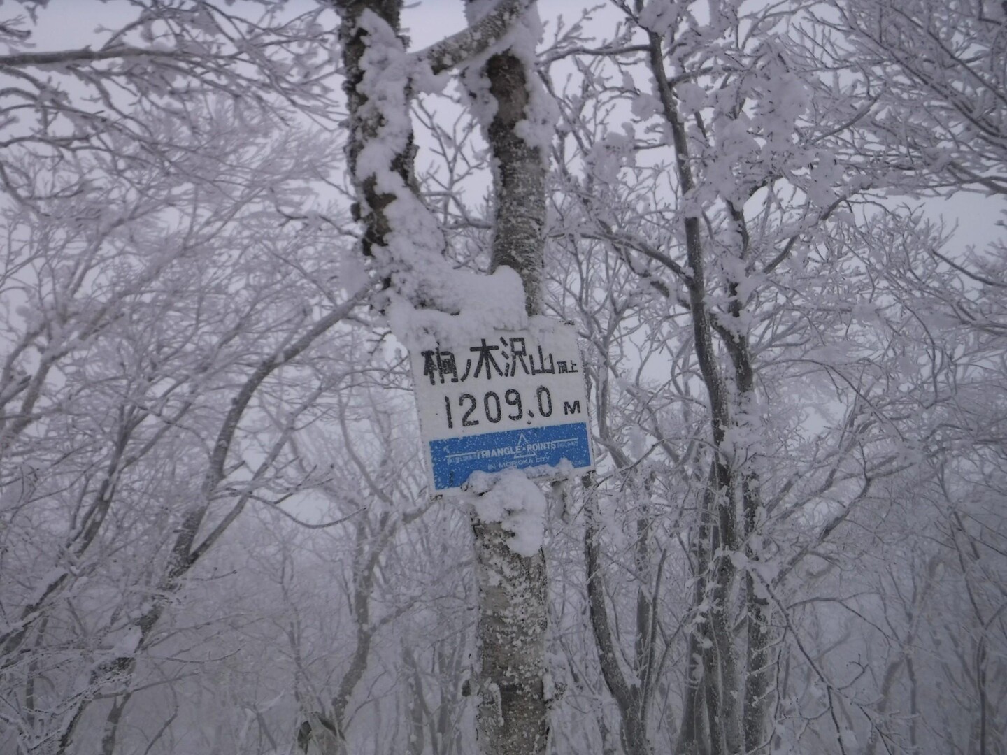 2023ｰ01ｰ09桐ノ木沢山BCスキー / bakkyさんの兜明神嶽（兜明神岳）・岩神山の活動データ | YAMAP / ヤマップ
