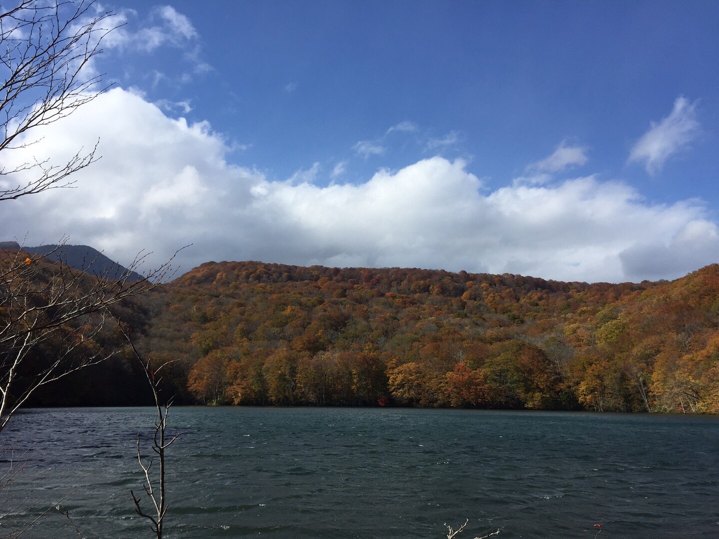 櫛ヶ峯(上岳)・駒ヶ峯・乗鞍岳-2020-10-24 / Hoz3さんの櫛ヶ峯（上岳）・駒ヶ峯・乗鞍岳の活動データ | YAMAP / ヤマップ