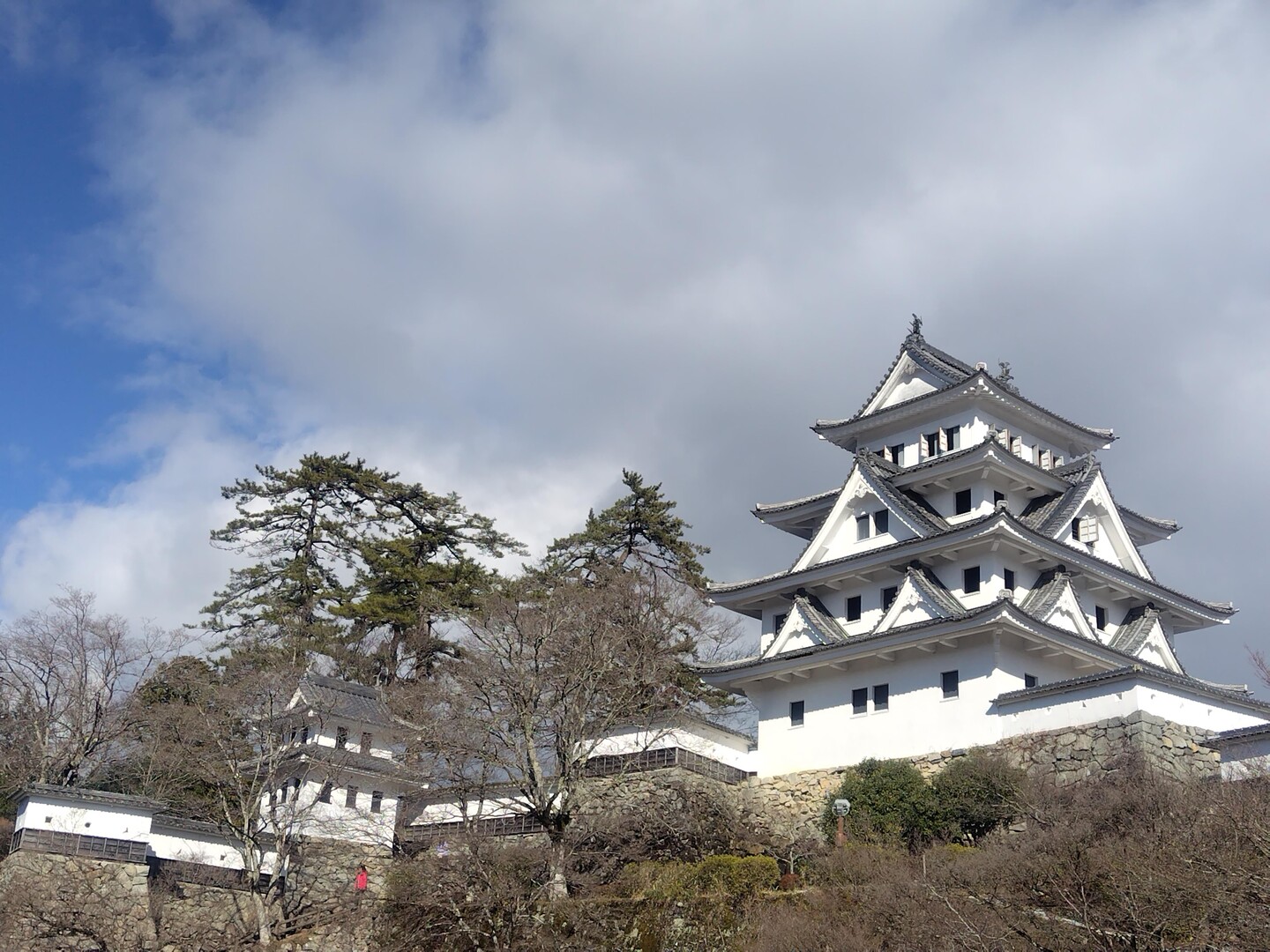 八幡山（郡上八幡城） / TOMTOMさんの東殿山の活動データ | YAMAP / ヤマップ