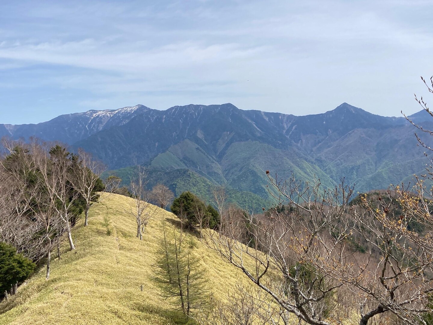 御池山 / Tigerさんのしらびそ高原の活動データ | YAMAP / ヤマップ