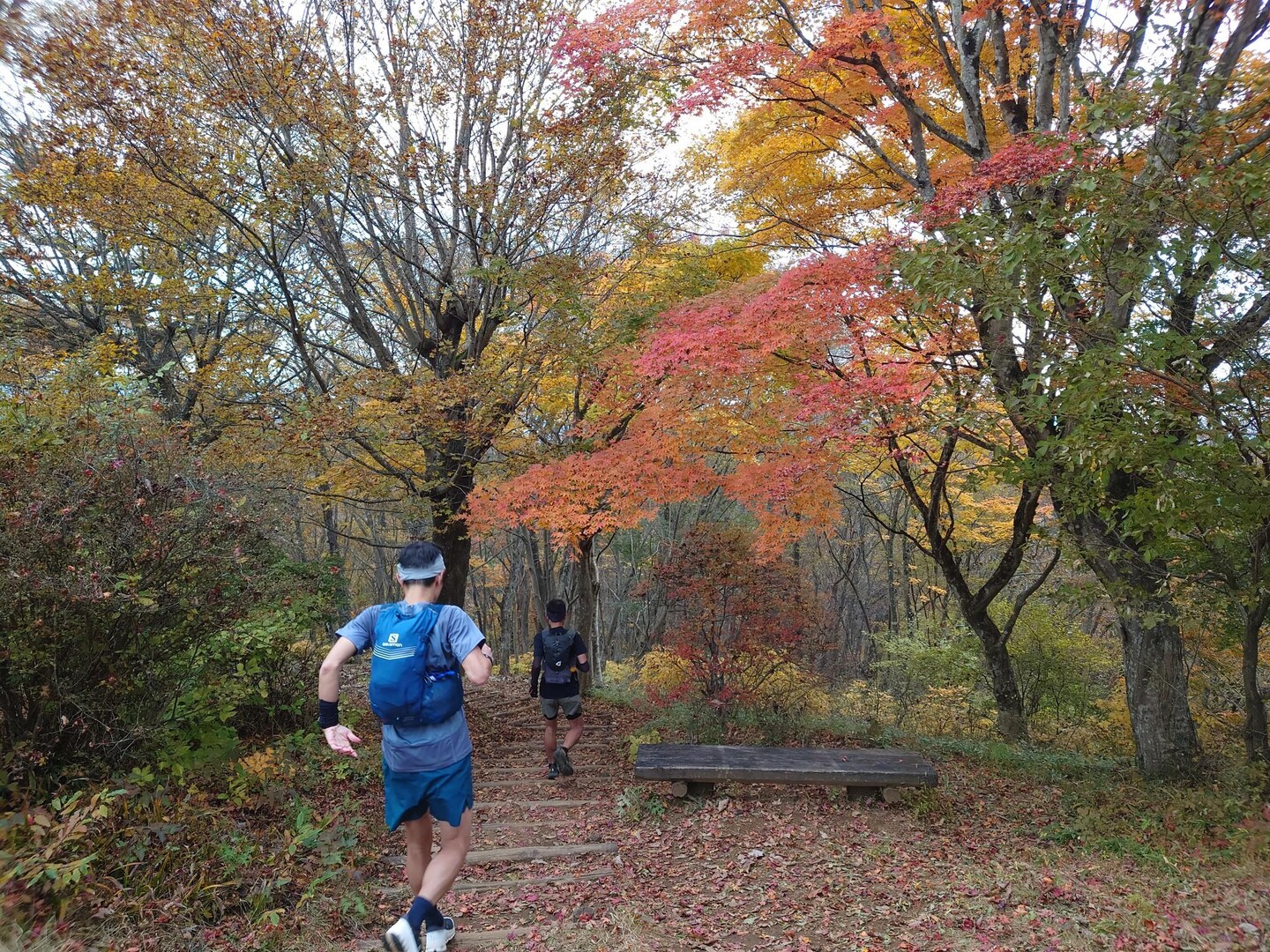 FTR秩父＆奥武蔵100K試走（東吾野駅〜ゴール） / あつしさんの武甲山・伊豆ヶ岳・小持山の活動データ | YAMAP / ヤマップ