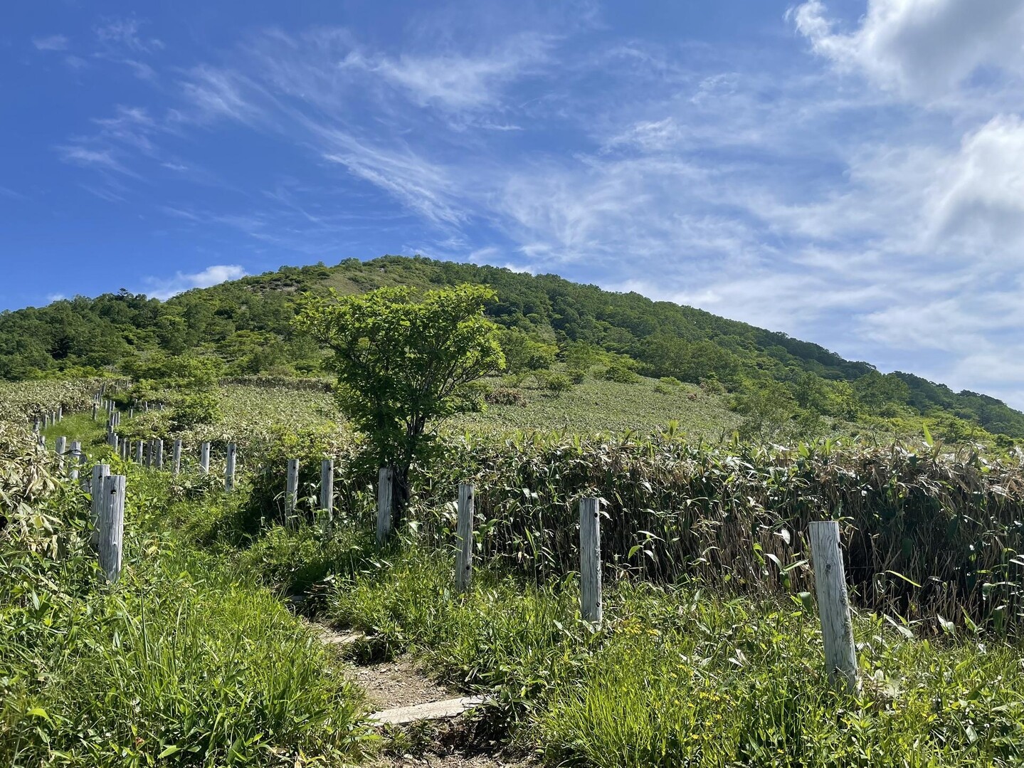三国山 / meさんの仙ノ倉山・平標山・大源太山の活動データ | YAMAP / ヤマップ