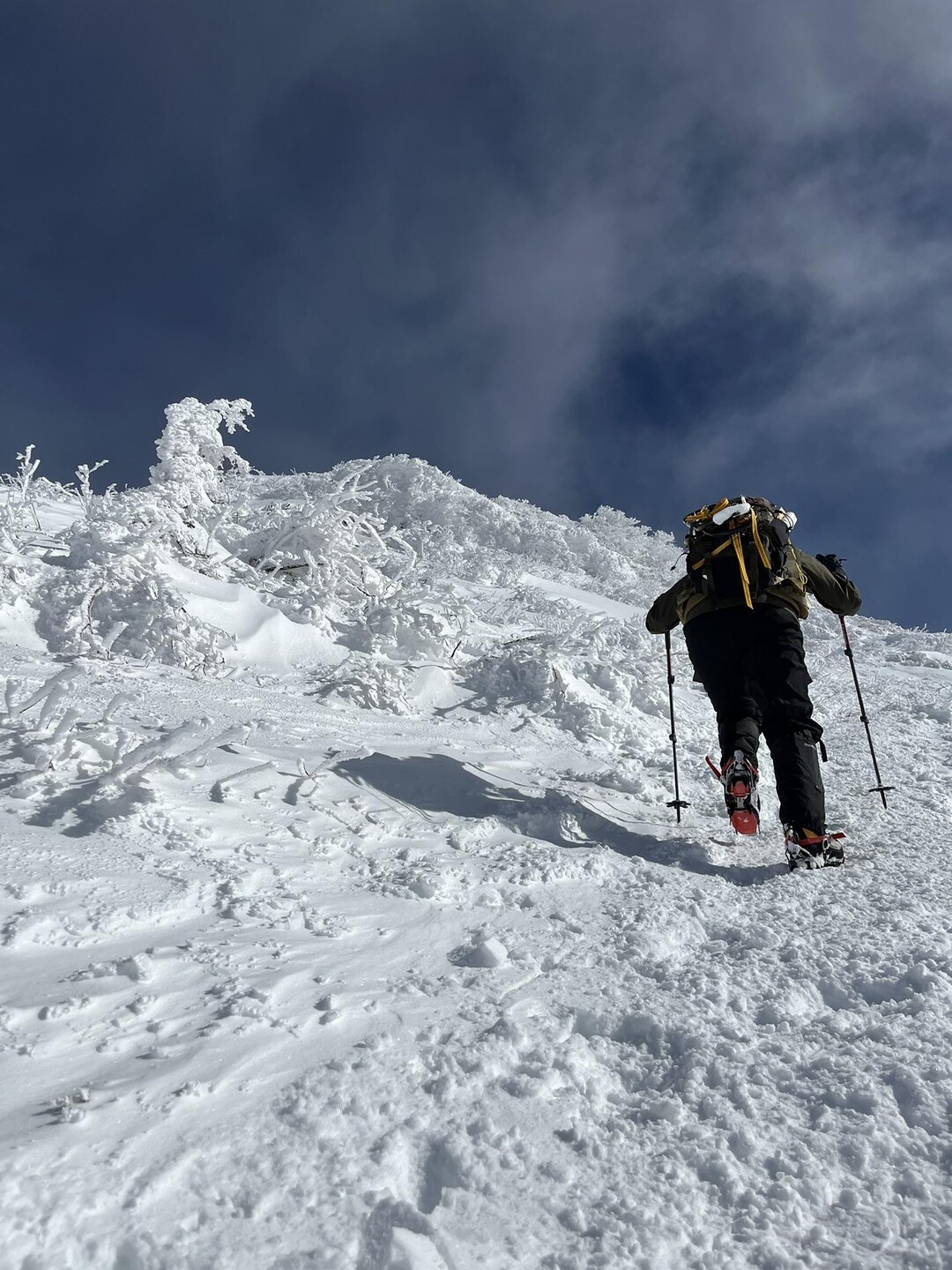 剣ヶ峰山・武尊山 / Holovitzさんの武尊山・鹿俣山・尼ヶ禿山の活動日記 | YAMAP / ヤマップ