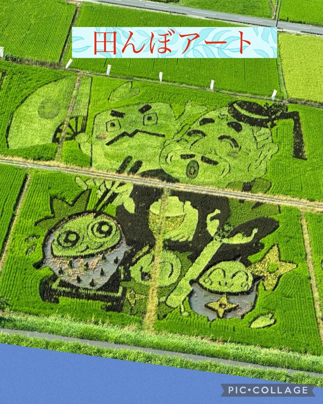越谷市の田んぼアート見に行って来た。 ど... / datera🐻🐻🐻さんのモーメント | YAMAP / ヤマップ