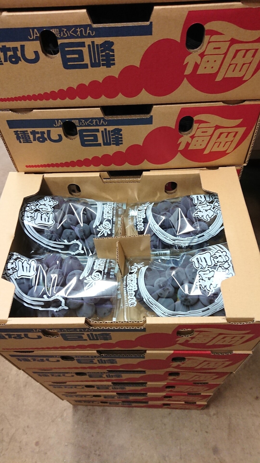 先日より、知り合いの🍇農家で出荷作業を... / やまGさんのモーメント | YAMAP / ヤマップ