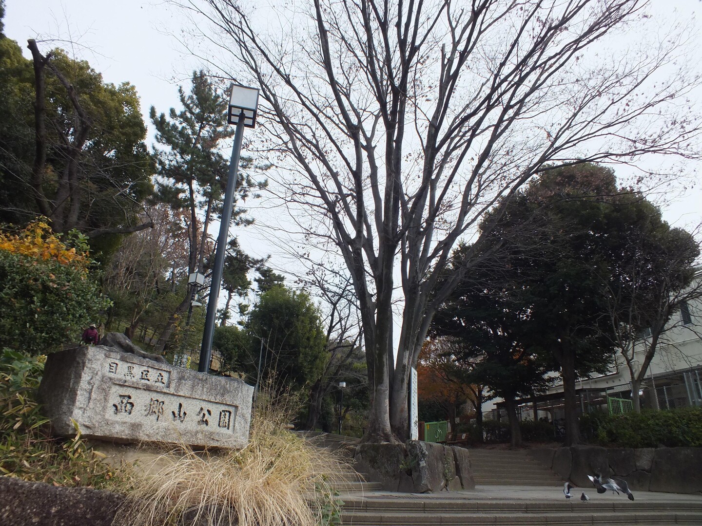 西郷山 / blue_39さんの東京都23区 中央エリアの活動データ | YAMAP / ヤマップ