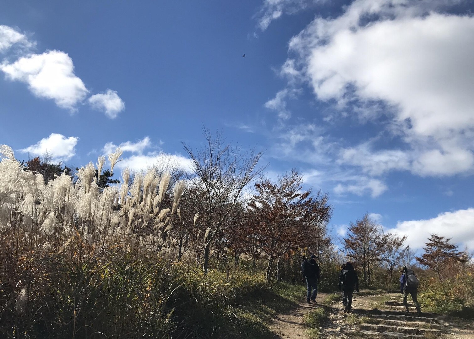 六甲山（最高峰・標高931m） / 307pujioさんの六甲山・長峰山・摩耶山の活動データ | YAMAP / ヤマップ