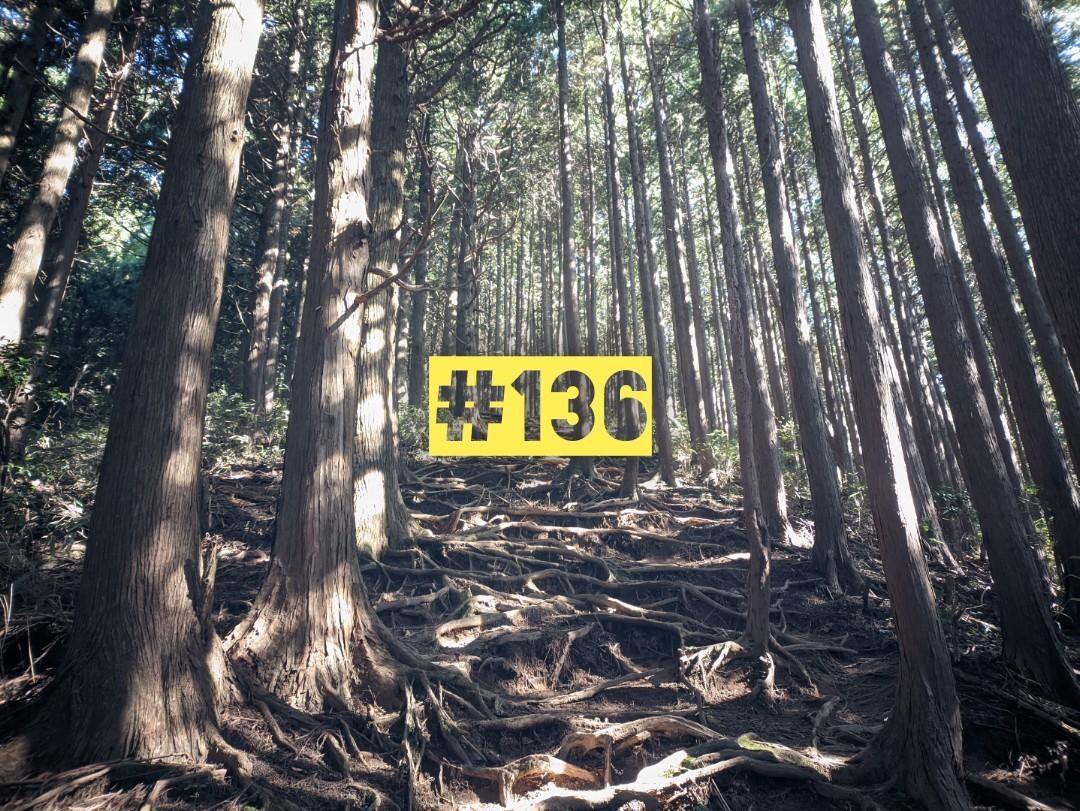 金剛山(136)タカハタ谷↗千早本道↘ / やまぼさんの金剛山・二上山・大和葛城山の活動データ | YAMAP / ヤマップ