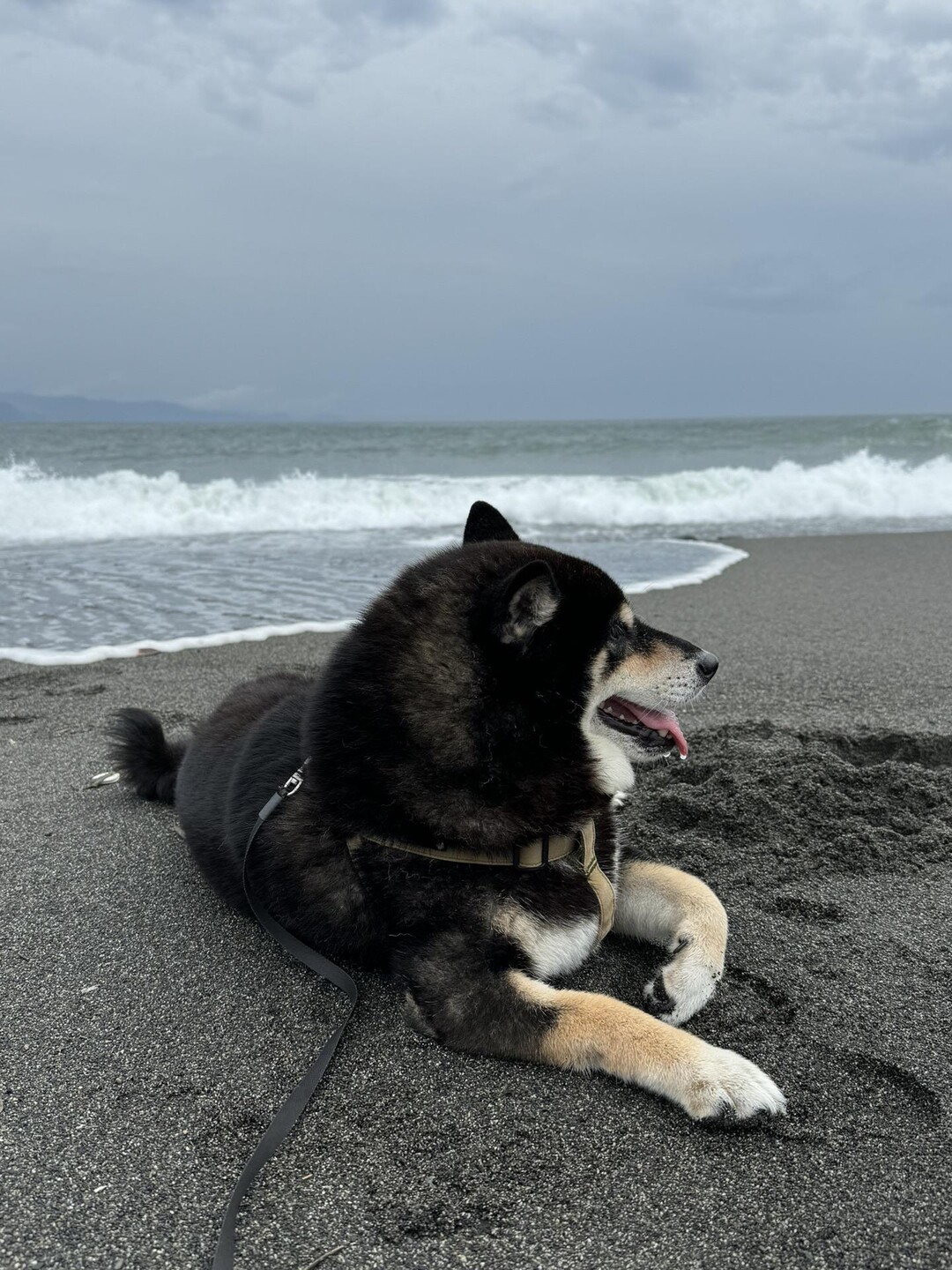 山に行きたかったけど寝坊しました。 仕方... / ta614さんのモーメント | YAMAP / ヤマップ