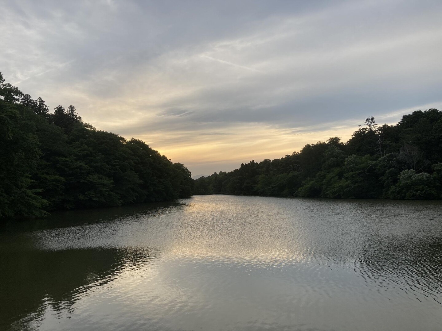 こんばんは^ ^ 今日は昨日より少し雲... / OBsunさんのモーメント | YAMAP / ヤマップ