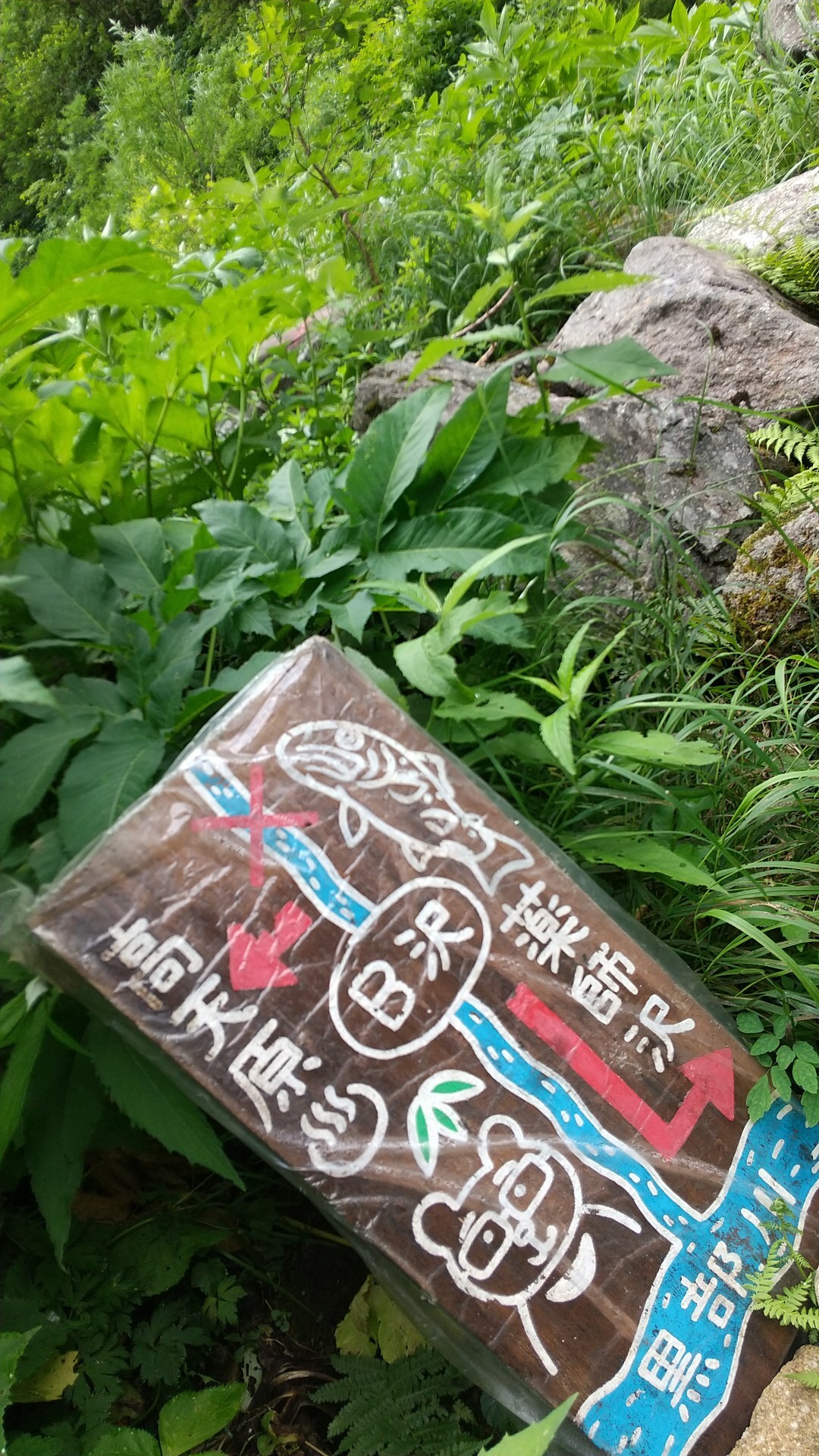 mwmin670605さんの投稿したフィールドメモ | YAMAP / ヤマップ