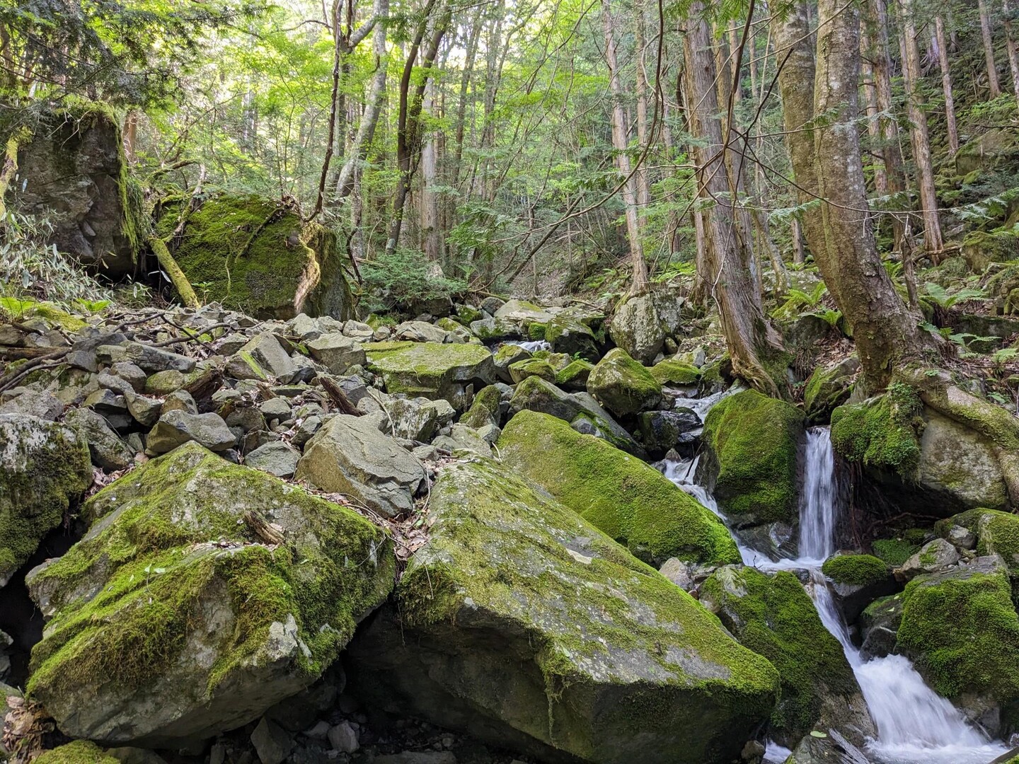 夕森山 / iwaakiさんの小秀山の活動データ | YAMAP / ヤマップ