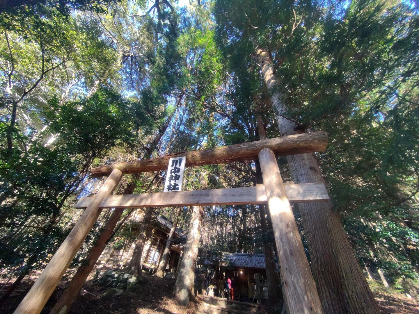 初詣 川中神社 / Hiさんのウォーキングの活動日記 | YAMAP / ヤマップ