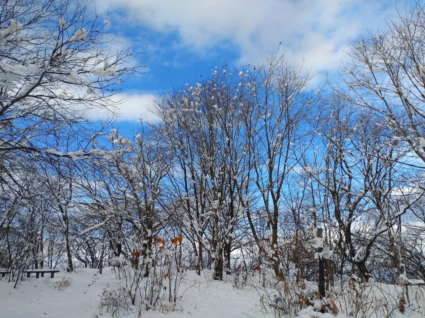 角田山 冬到来 ほたるの里コース 42-31 / P-kanさんの角田山の活動データ | YAMAP / ヤマップ