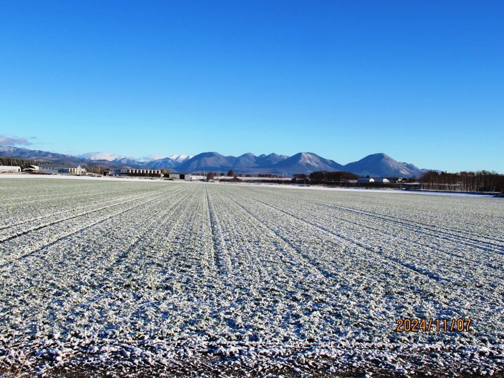 ウオーキング-2024-11-07 / miyaさんのウォーキングの活動データ | YAMAP / ヤマップ
