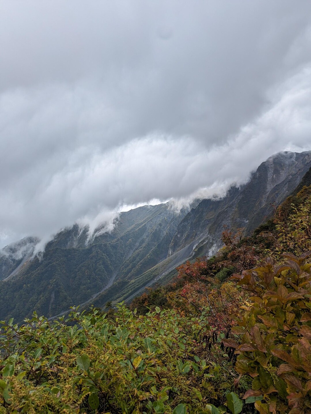大山登山-2023-10-15 / hitoさんの登山の活動データ | YAMAP / ヤマップ