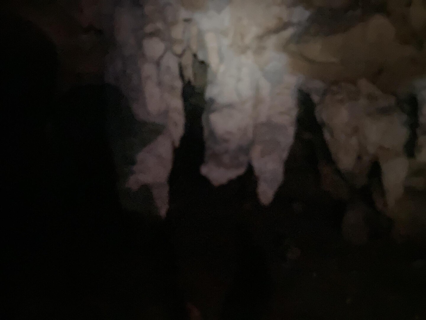 台風9号久米島最接近で、今日は海に入らず... / ktmlさんのモーメント | YAMAP / ヤマップ