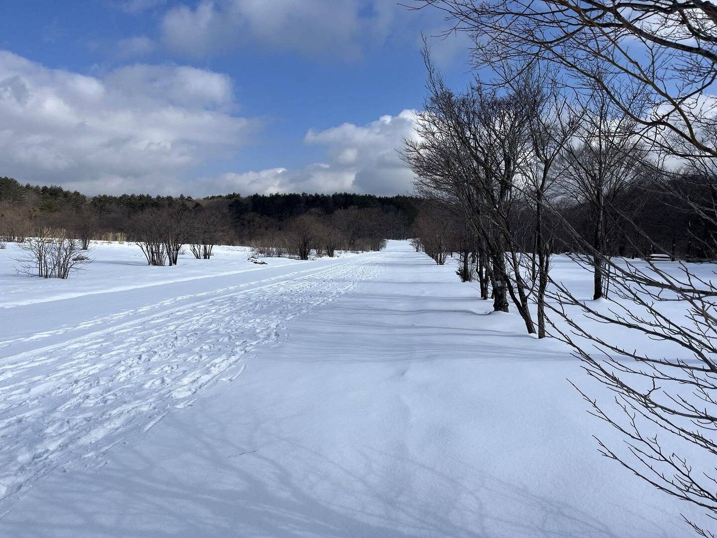 八幡原スノーハイク / kecoさんの臥龍山（刈尾山）・掛頭山の活動データ | YAMAP / ヤマップ