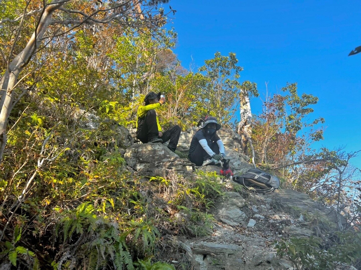 神山森林公園🍁西龍王山・二秀峯・東龍王山 / くめちゃんさんの徳島市の活動データ | YAMAP / ヤマップ
