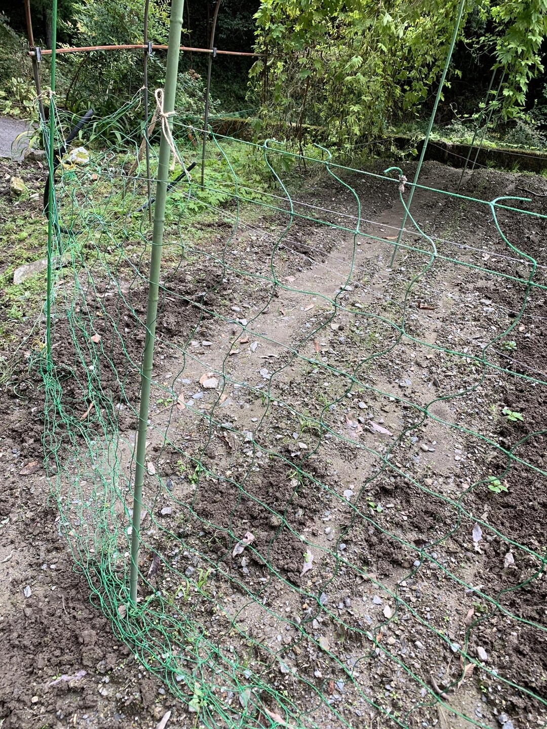 害獣被害にあいネットを張ってみる これで... / seekaさんのモーメント | YAMAP / ヤマップ