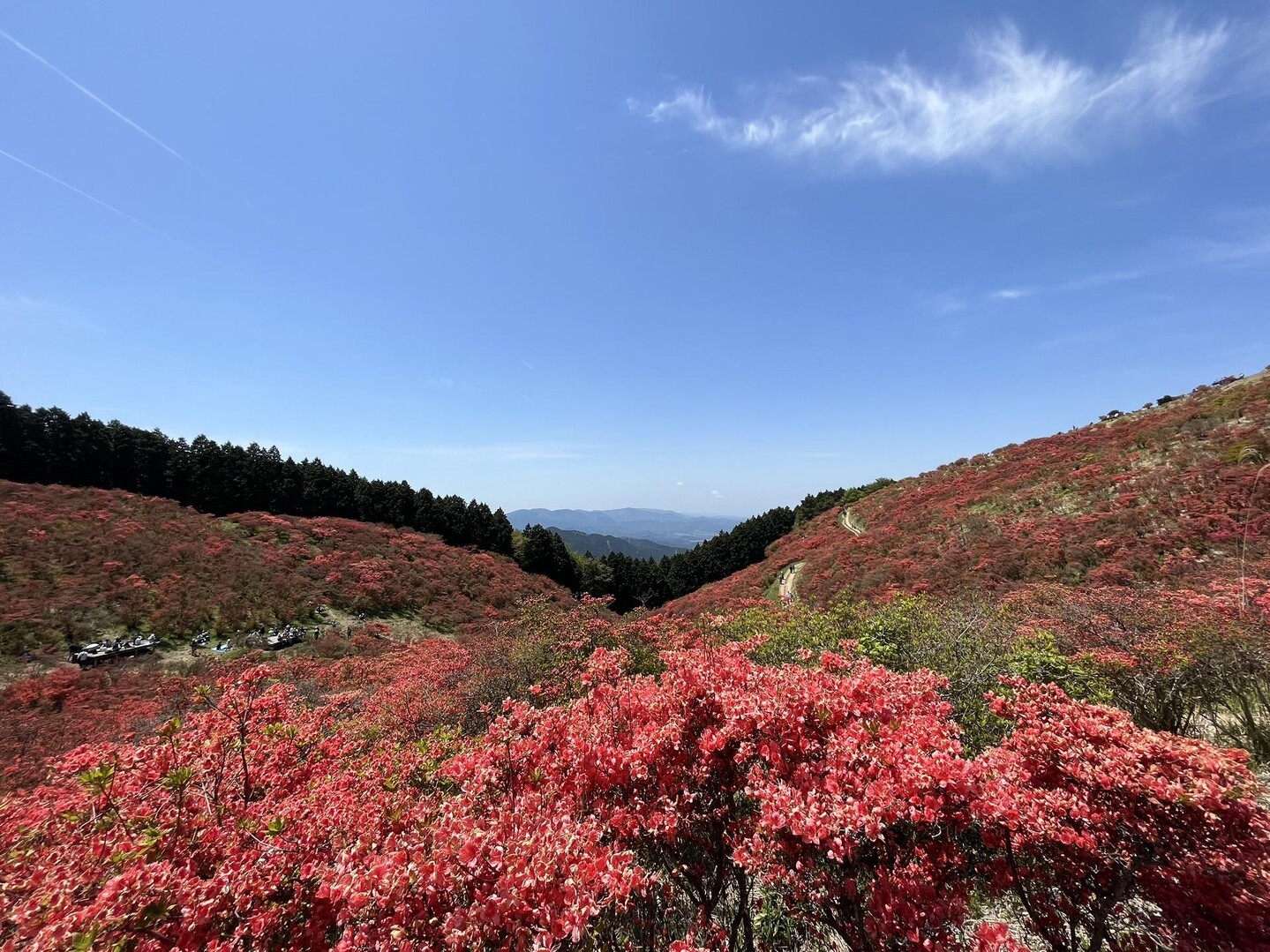 大和葛城山 / sakoさんの金剛山・二上山・大和葛城山の活動データ | YAMAP / ヤマップ