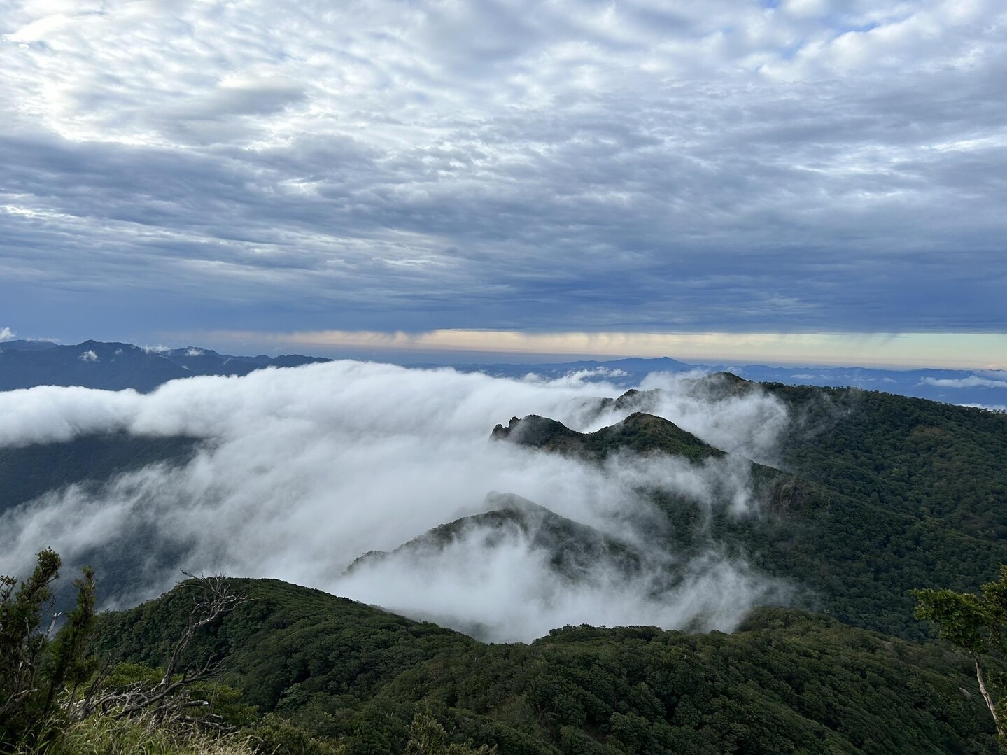 遠征:四日目祖母山 / katuyaさんの祖母山の活動データ | YAMAP / ヤマップ