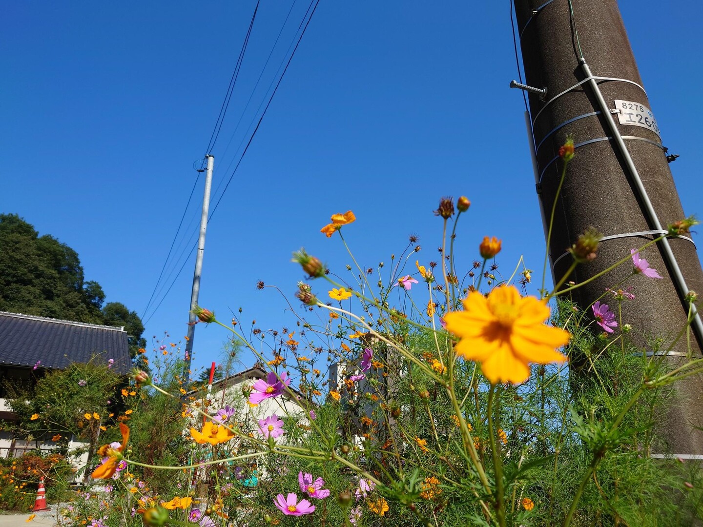 参考にならない文殊山・丹波岳・足羽山 一周 / MU10さんの一乗城山の活動データ | YAMAP / ヤマップ