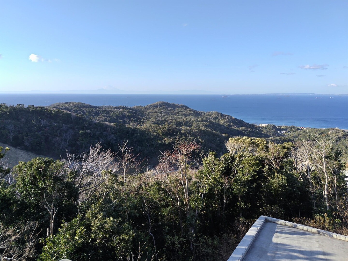 大山 / ykさんの大山の活動データ | YAMAP / ヤマップ