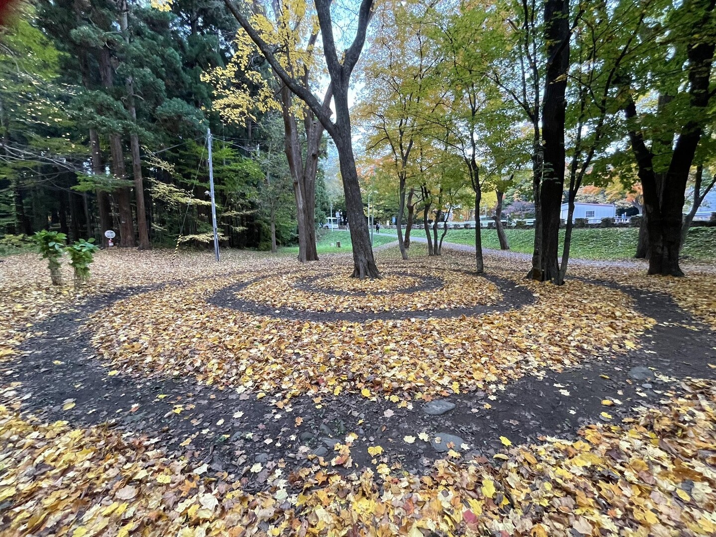 おかわり円山 / カツ山さんの三角山・大倉山・円山の活動データ | YAMAP / ヤマップ