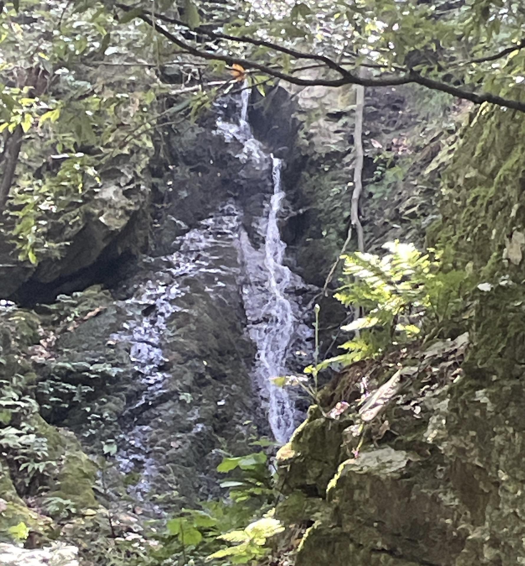 「鯛ノ巣山」 / gun グンさんの猿政山の活動データ | YAMAP / ヤマップ