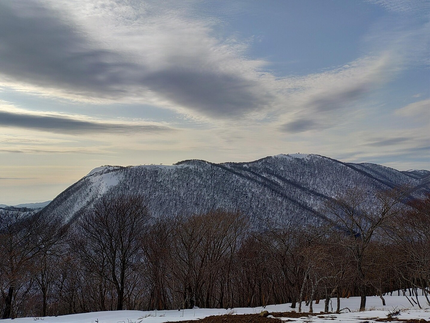 御池岳 / R.hondaさんの藤原岳・御池岳の活動日記 | YAMAP / ヤマップ