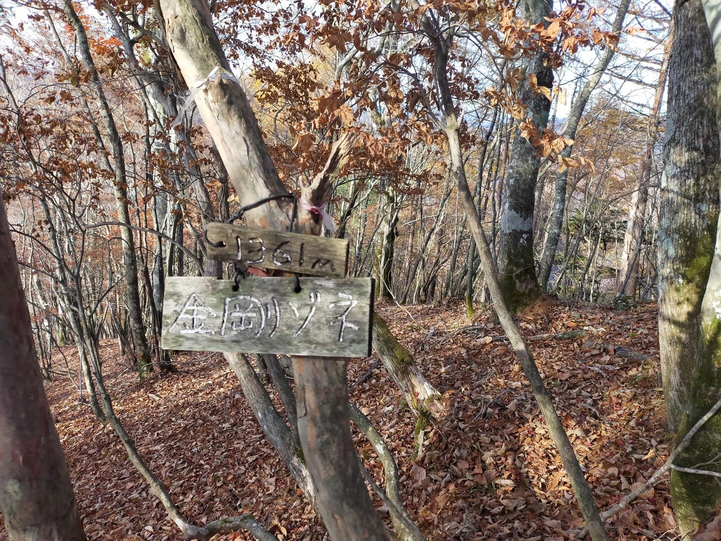 Sky Sunさんの投稿したフィールドメモ | YAMAP / ヤマップ