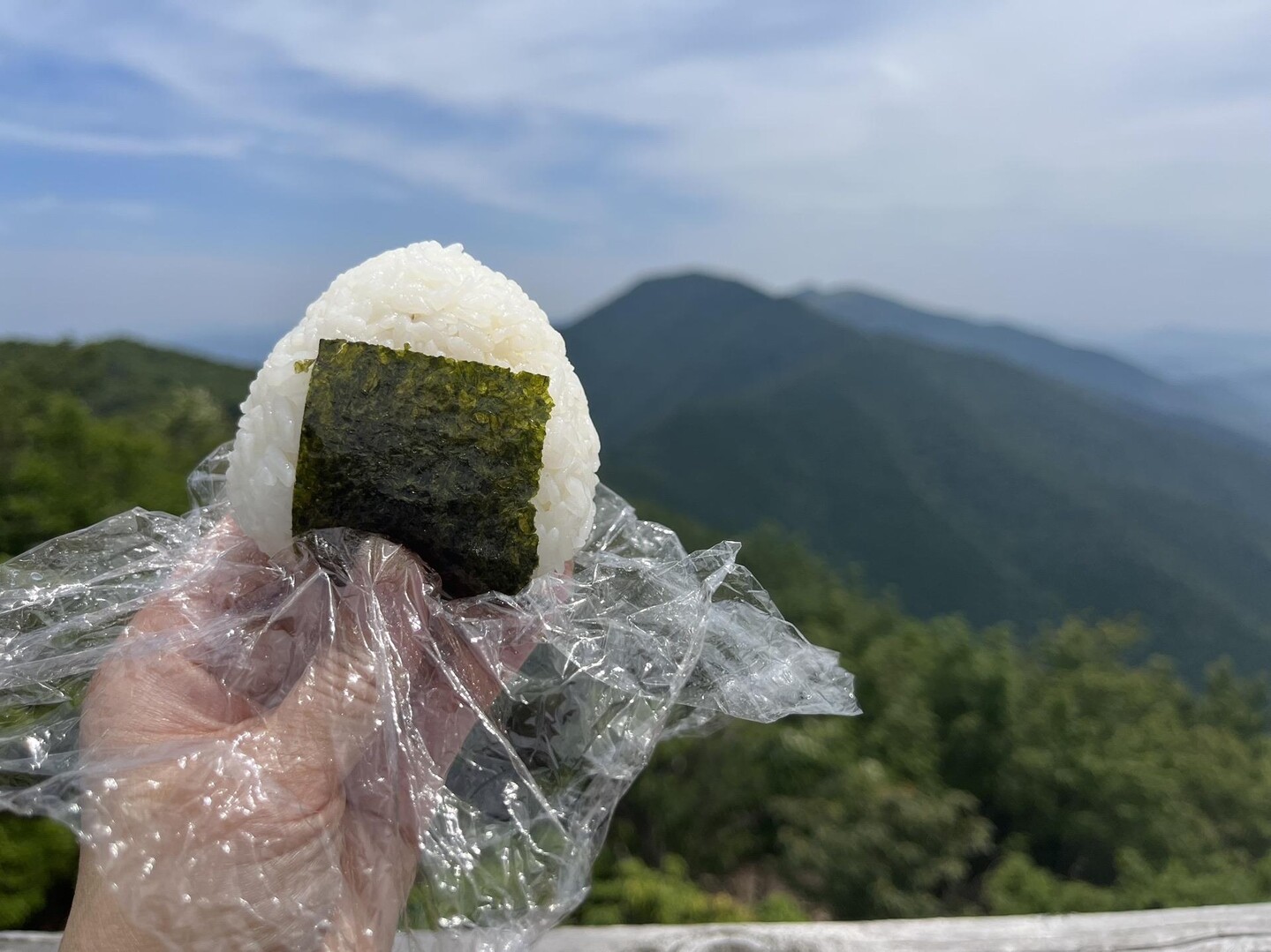 広戸仙-2023-06-18 / naoさんの那岐山・滝山・広戸仙の活動データ | YAMAP / ヤマップ