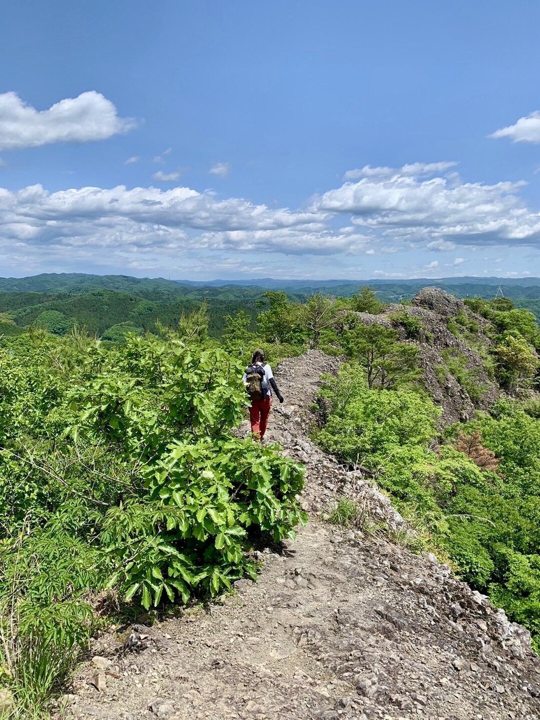 生瀬富士・茨城のジャンダルム・立神山 / ayakaさんの生瀬富士・大子アルプスの活動データ | YAMAP / ヤマップ