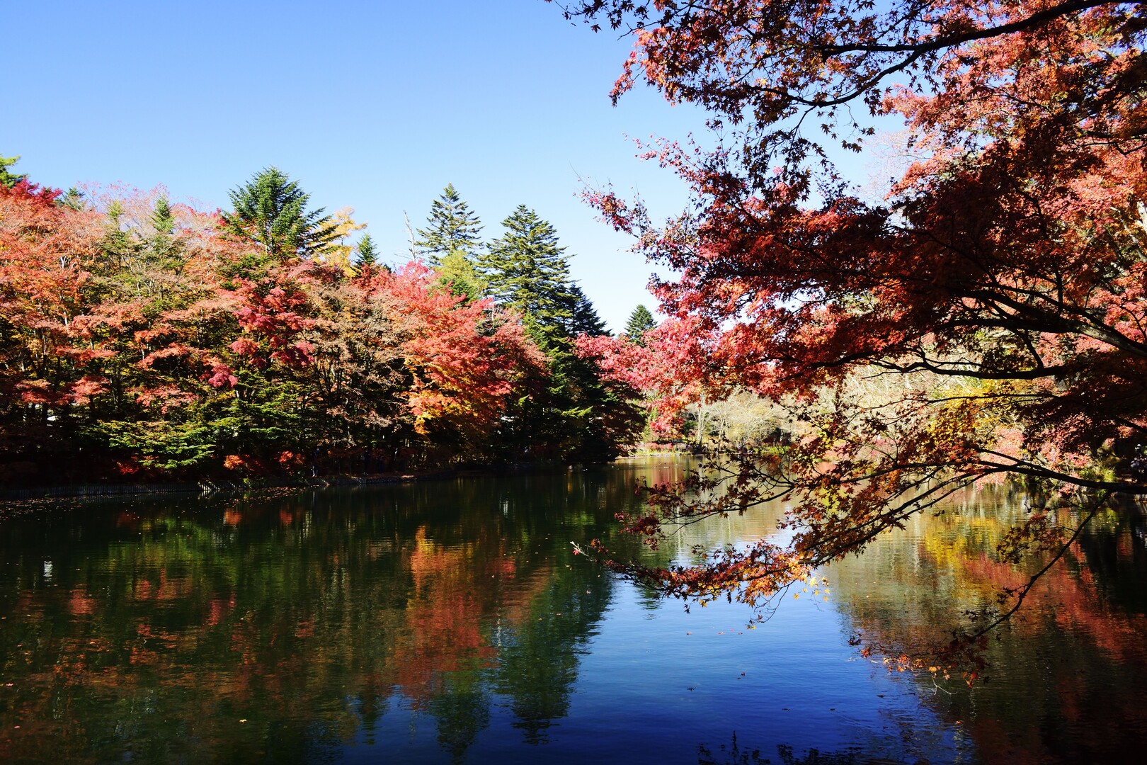 吾妻峡、軽井沢、碓氷めがね橋 / nm25さんの観光の活動データ | YAMAP / ヤマップ