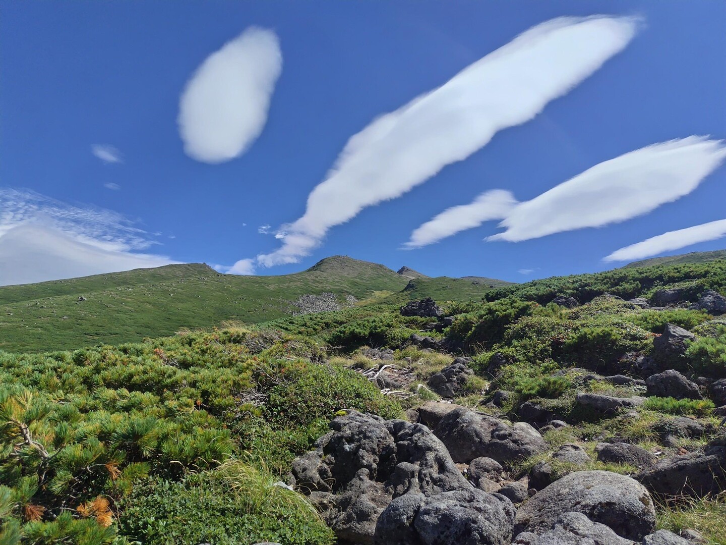 松仙園経由、愛別岳折返し@永山岳・安足間岳・愛別岳・当麻岳・1591ピーク / おまっとさんの大雪山系・旭岳・トムラウシの活動日記 | YAMAP / ヤマップ