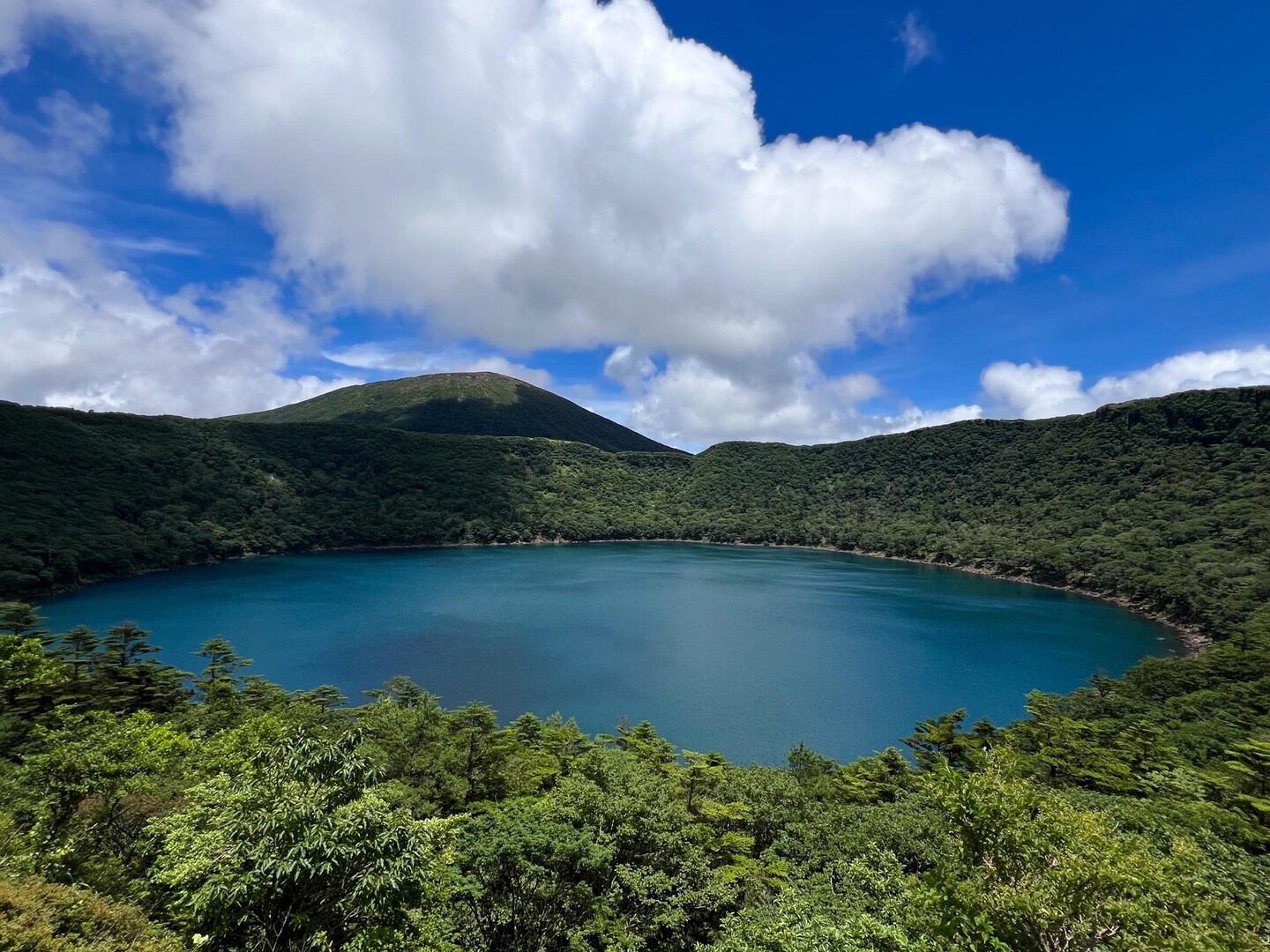 えびの高原〜大浪池🌸花散策 / kawaさんの霧島山・韓国岳・高千穂峰・夷守岳・烏帽子岳の活動データ | YAMAP / ヤマップ