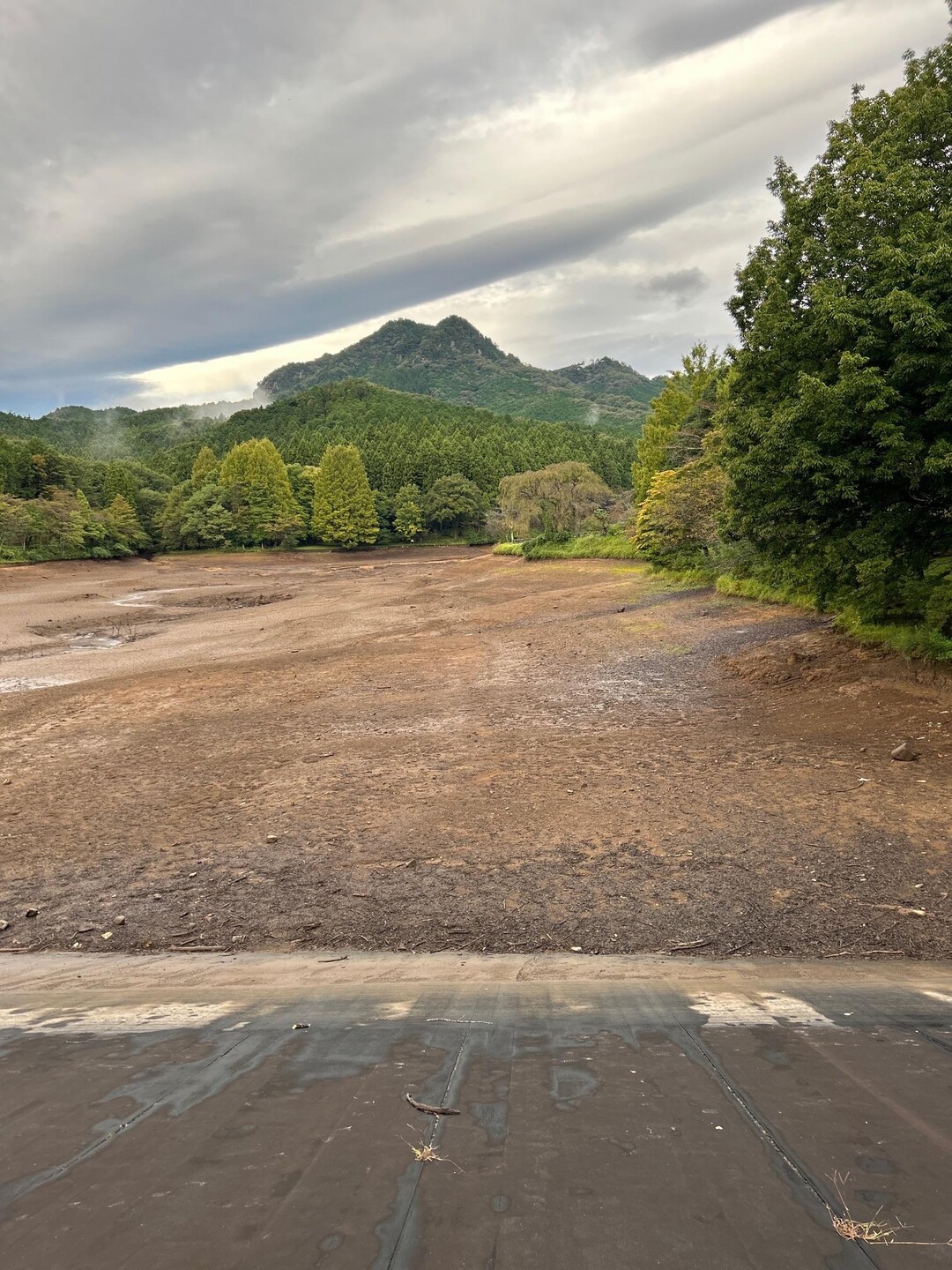斑根石山・540P・長倉山 / PCXさんの古賀志山・赤岩山・鞍掛山・男抱山・半蔵山の活動データ | YAMAP / ヤマップ