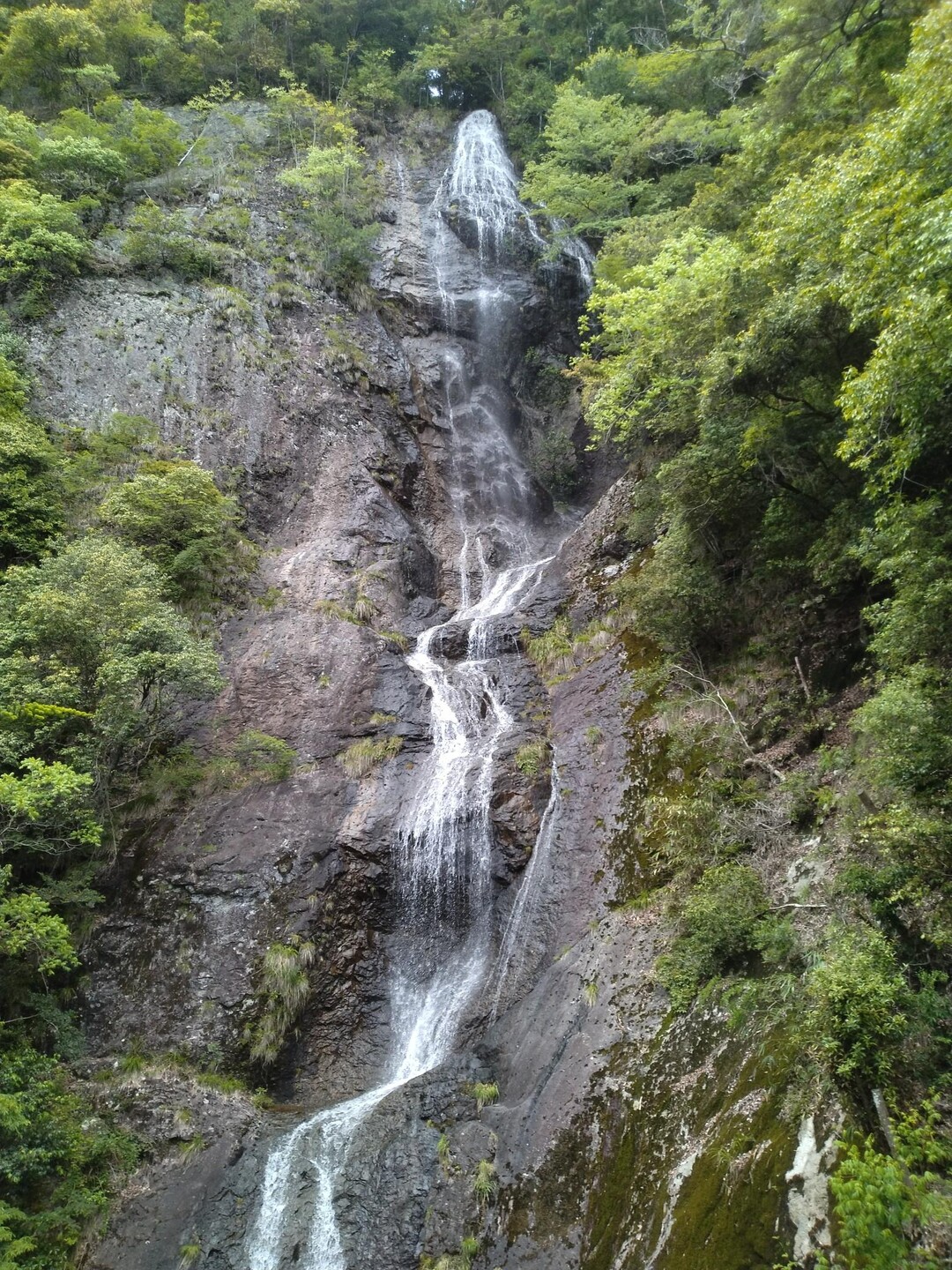 奥山・七種槍・七種山 / HAMさんの七種山の活動データ | YAMAP / ヤマップ