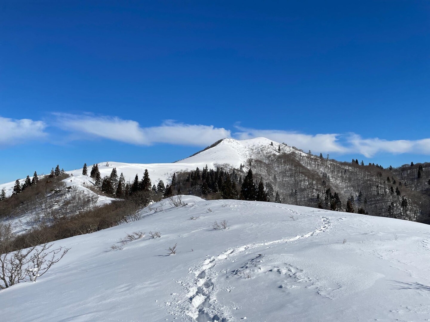 御殿山・武奈ヶ岳 / taki-yanさんの比良山地・武奈ヶ岳・釈迦岳の活動データ | YAMAP / ヤマップ