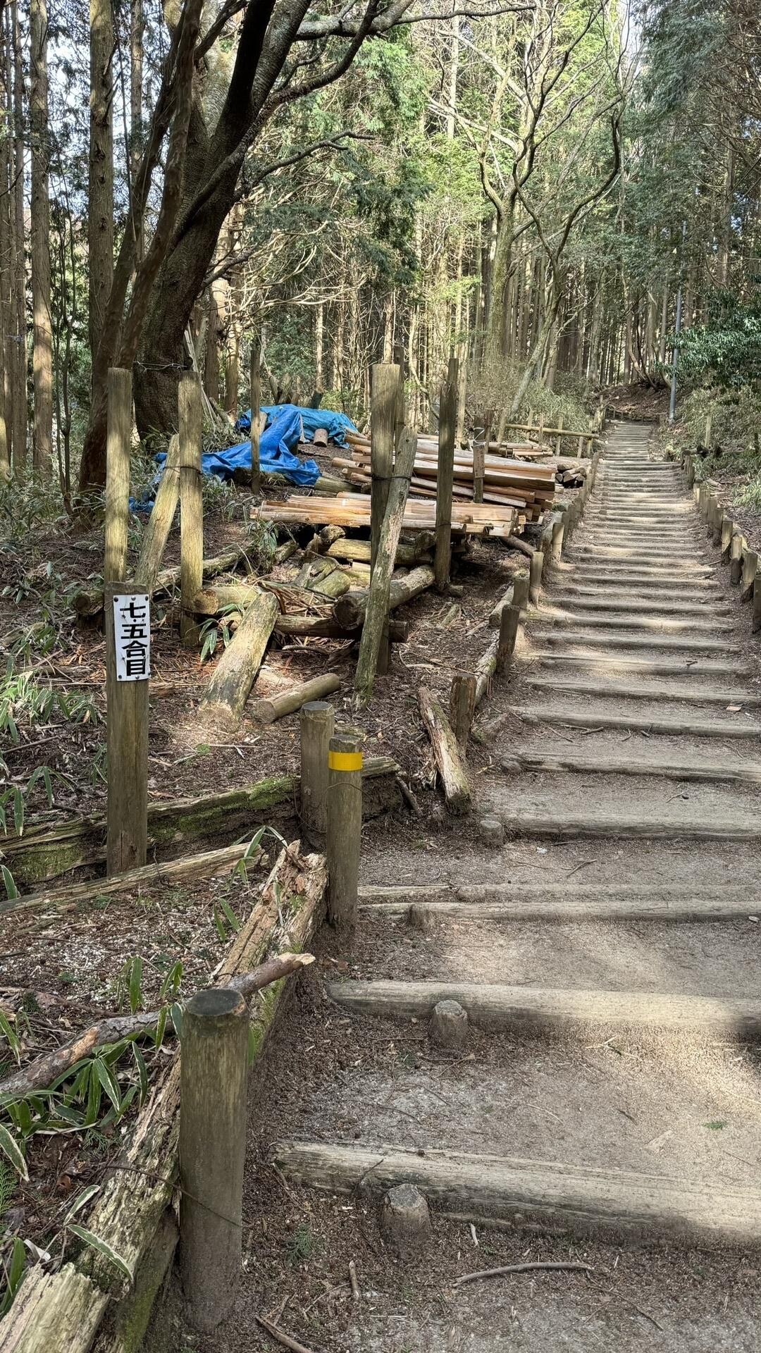 sarah🐶🧢🕶😎さんの投稿したフィールドメモ | YAMAP / ヤマップ