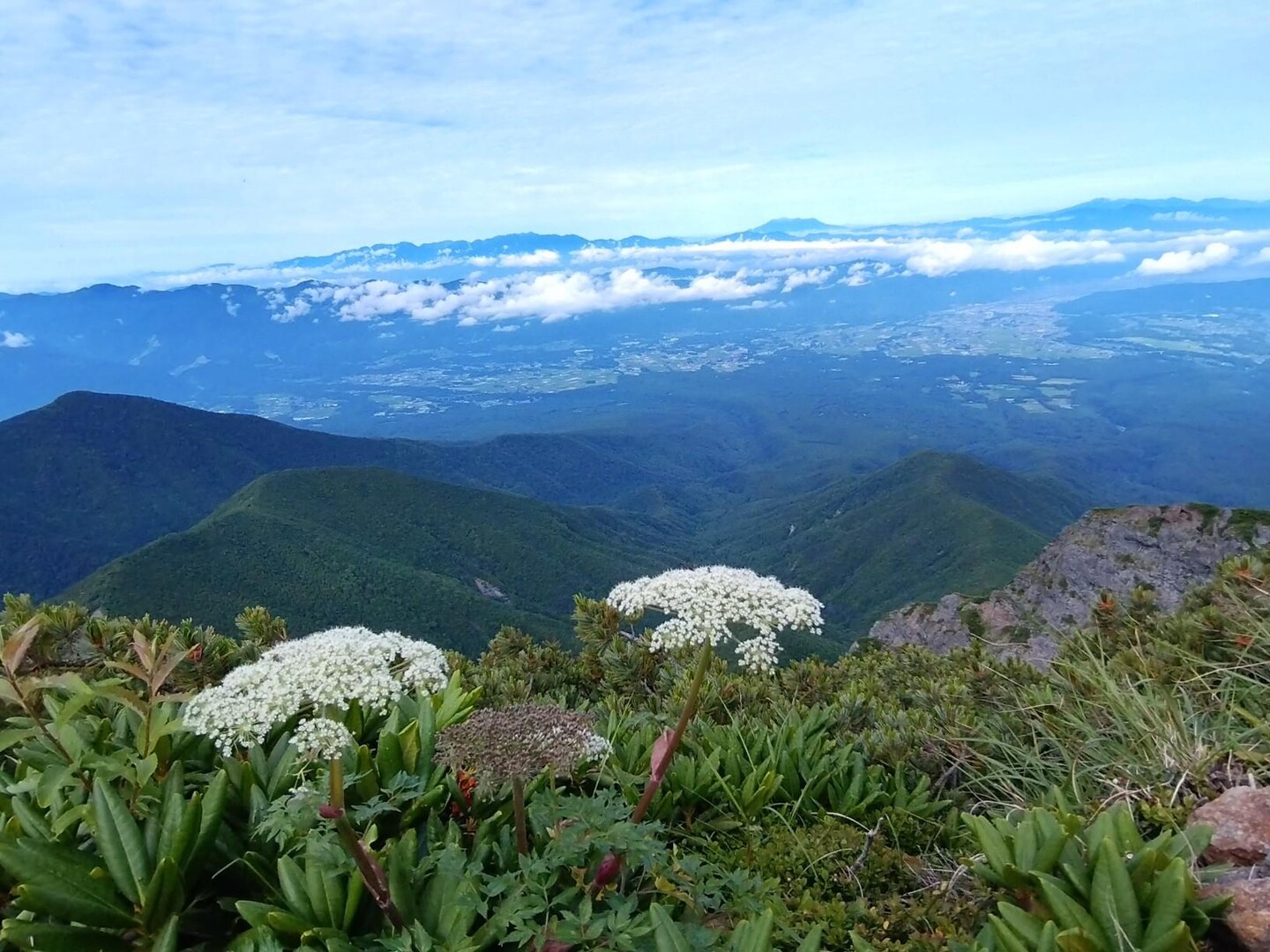 山を愛する皆さまへ。 （3枚目閲覧注意）... / kmk-nさんのモーメント | YAMAP / ヤマップ