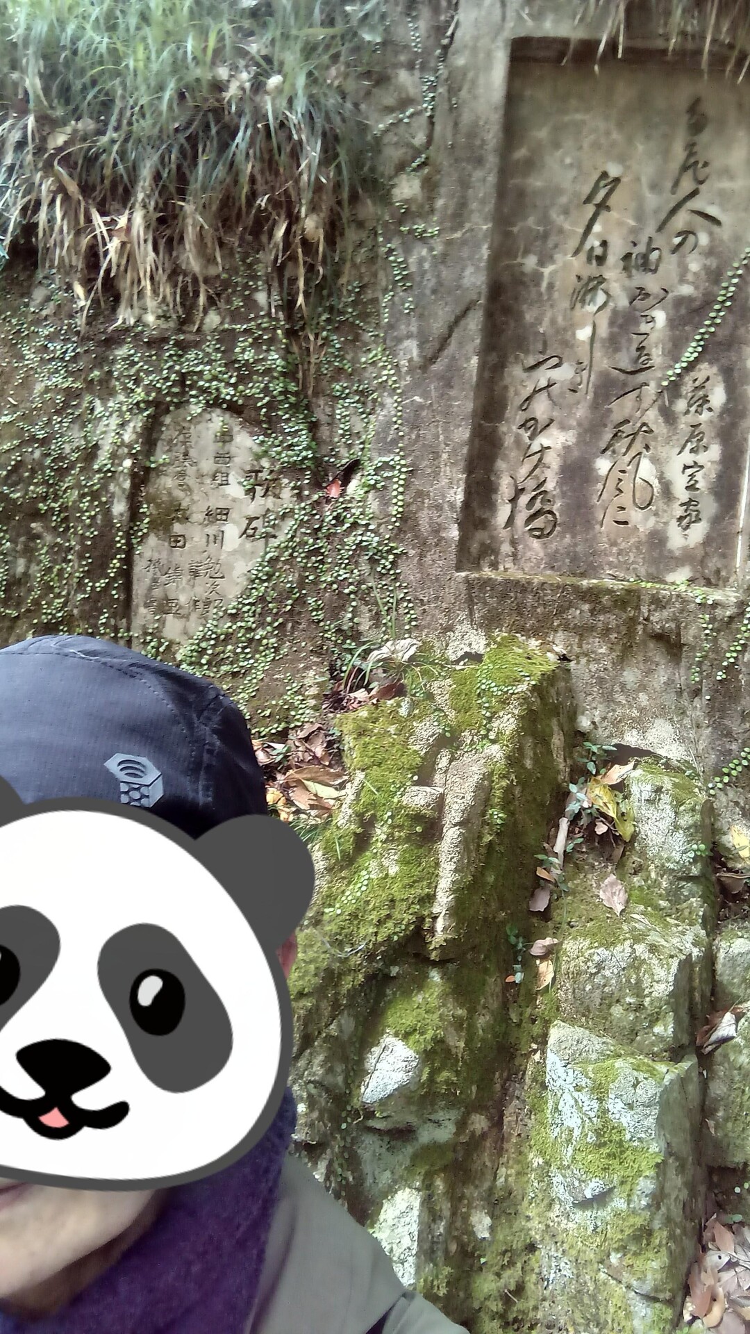 ひとり新神戸～布引～市ケ原～掬星台～摩耶🚡🚟 / 23takaさんの六甲山・長峰山・摩耶山の活動データ | YAMAP / ヤマップ